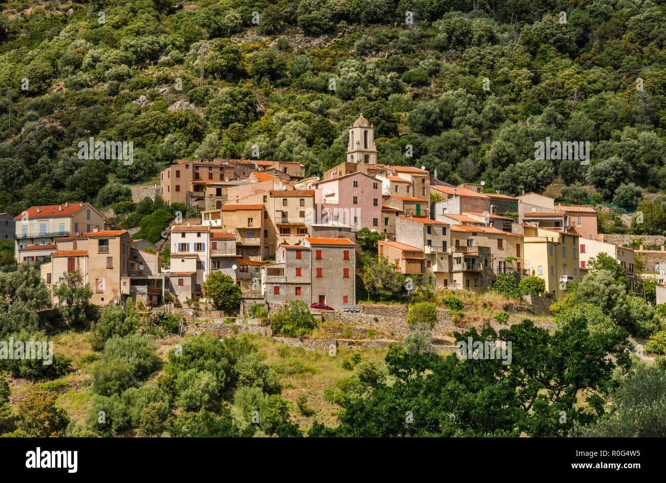 Zilia hi-res stock photography and images - Alamy