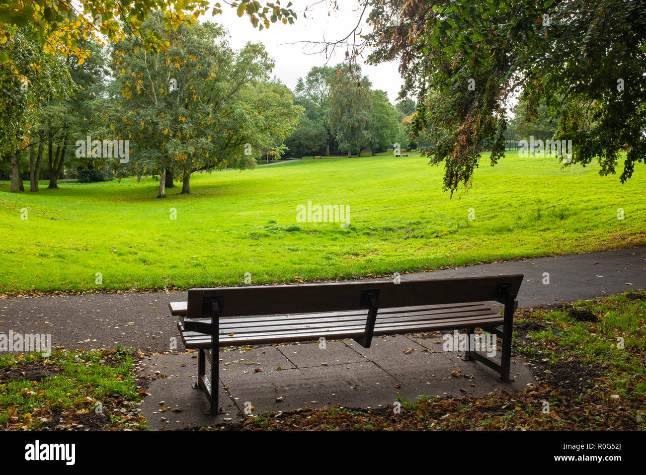 Empty bench amongst trees in Sandbach Park Cheshire UK Stock Photo - Alamy