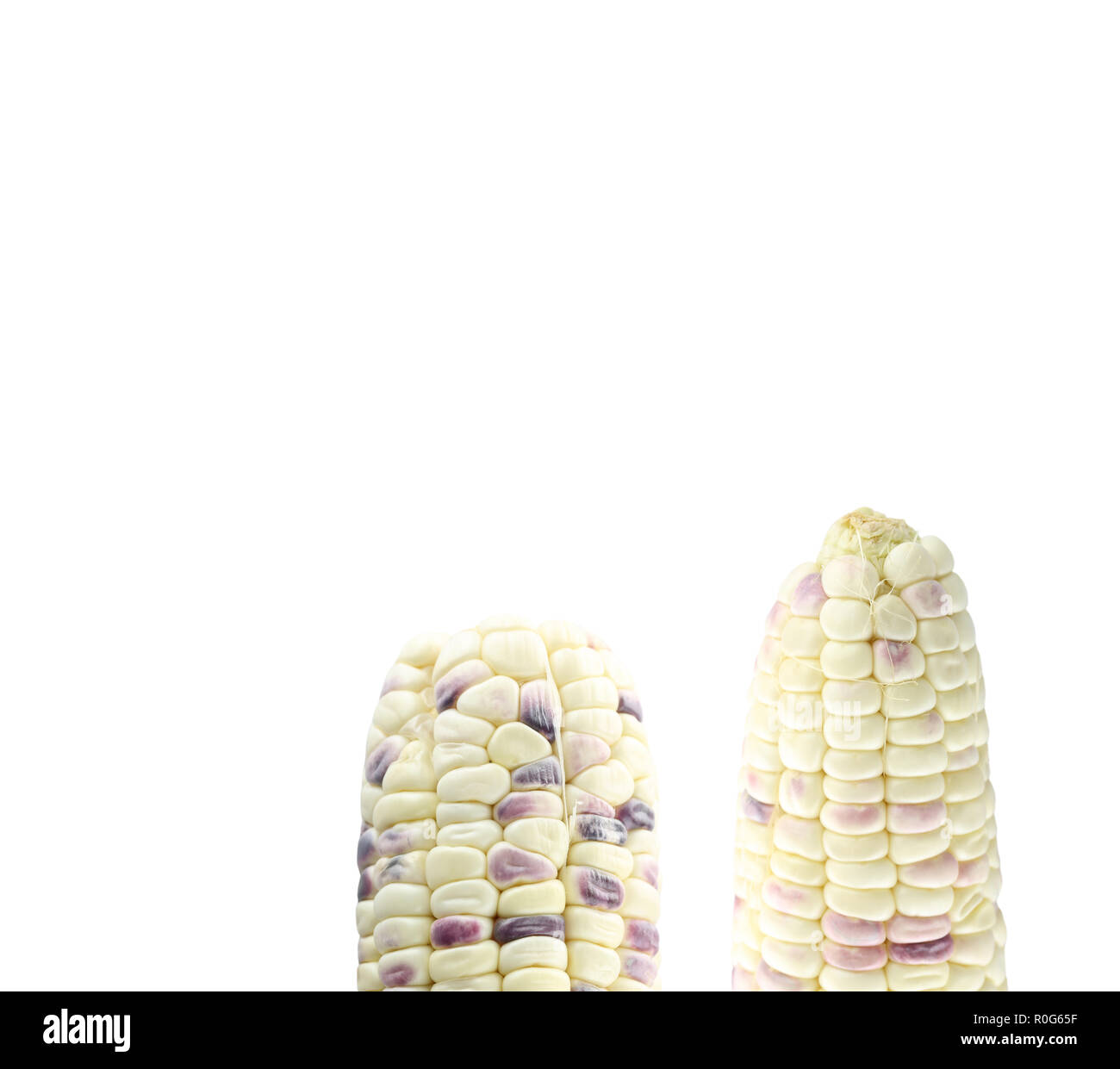 half of a fresh white corn isolated on white background Stock Photo - Alamy