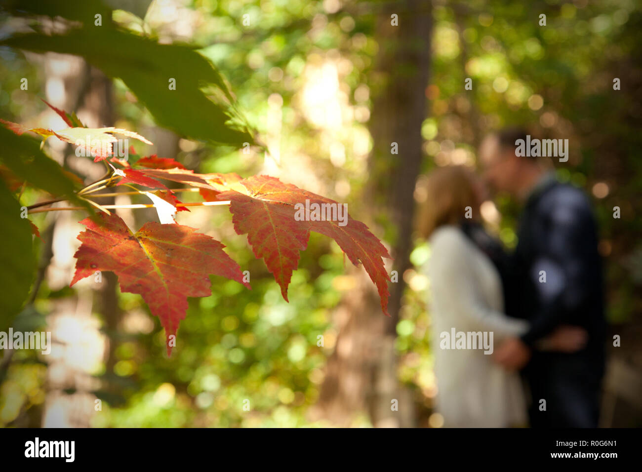 Kissing in secret hi-res stock photography and images - Alamy