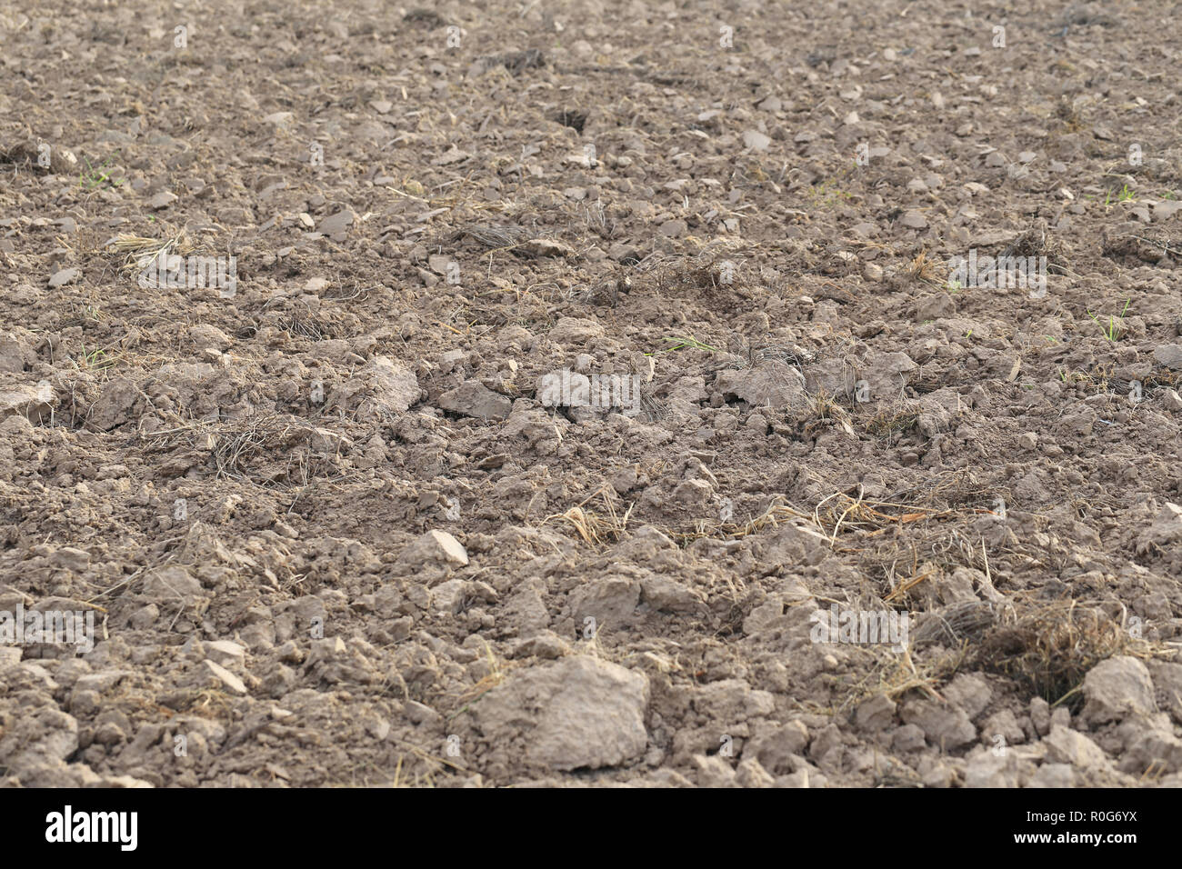 Empty field in rural areas hi-res stock photography and images - Alamy