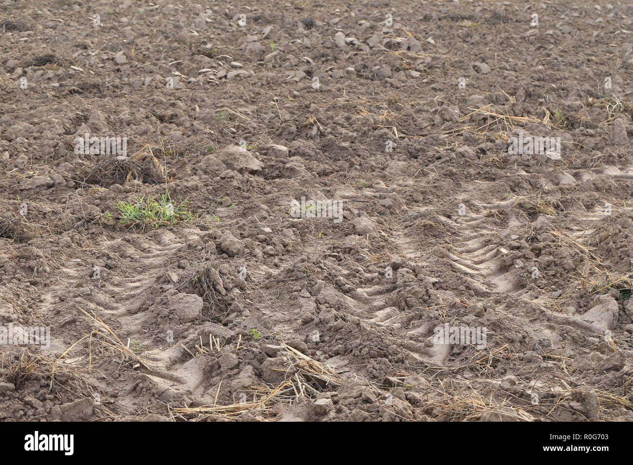 Empty field in rural areas hi-res stock photography and images - Alamy