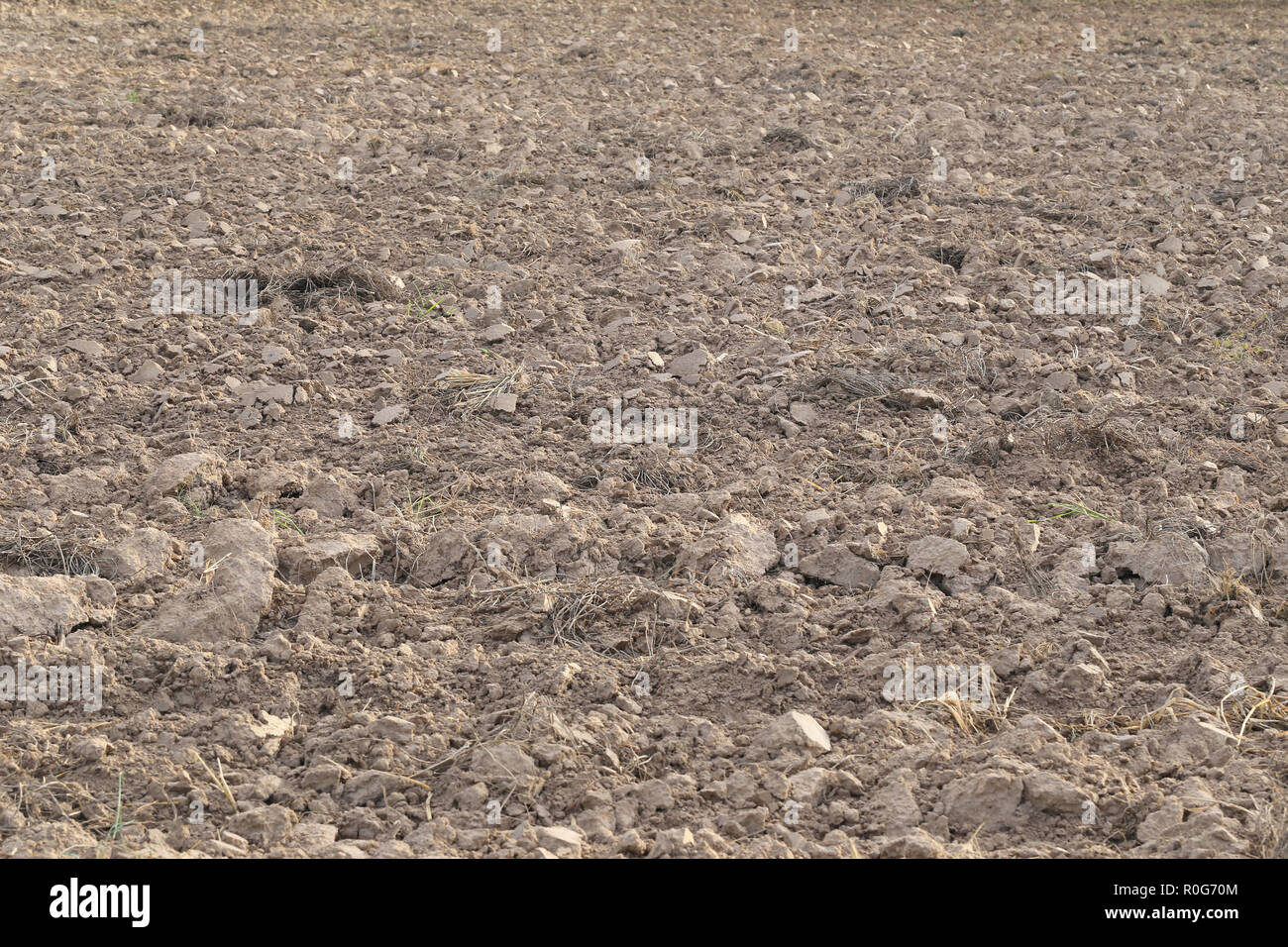 Empty field in rural areas hi-res stock photography and images - Alamy