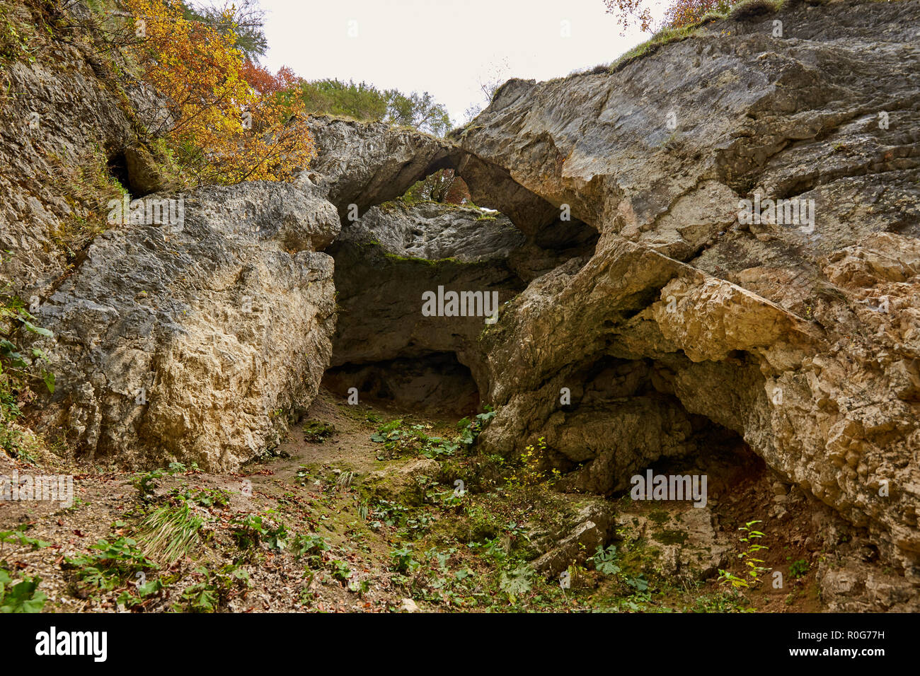 Entrance of a cave in the forest Stock Photo - Alamy