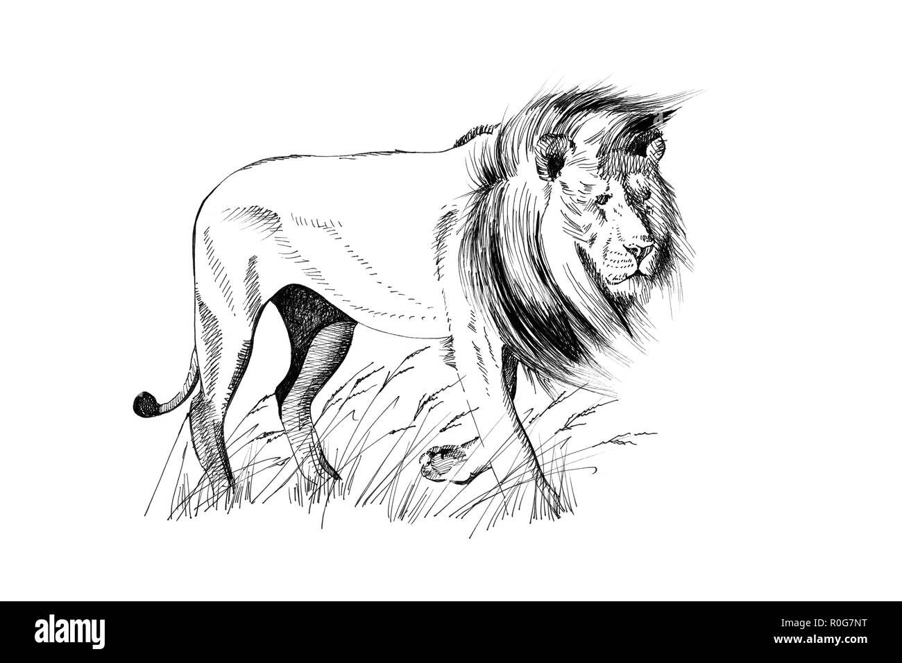 Hand leo symbol isolated Cut Out Stock Images & Pictures - Alamy