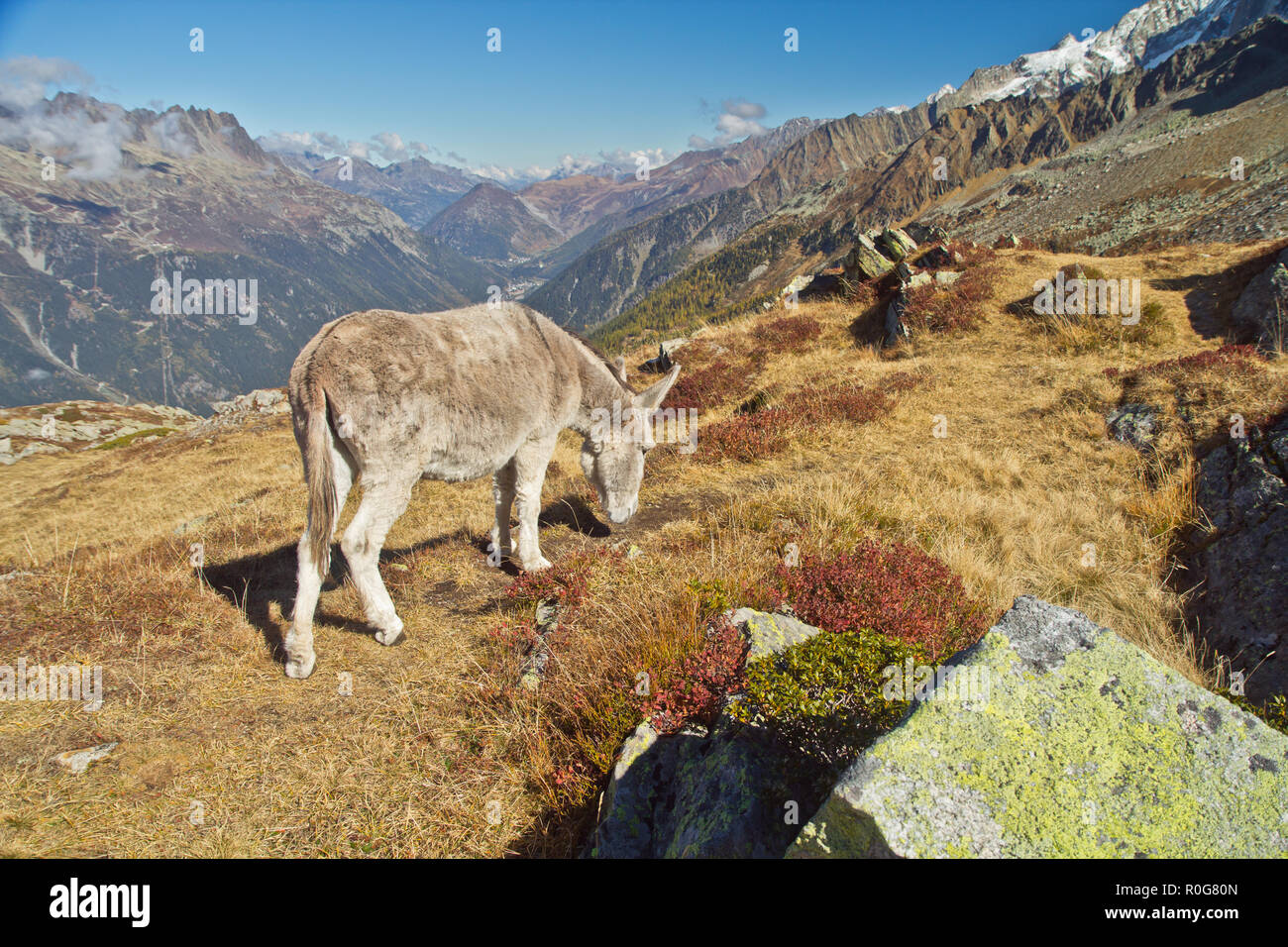 Extensive cable car system hi-res stock photography and images - Alamy