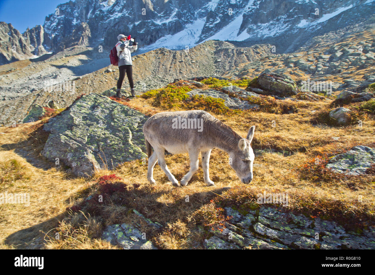 The Alps are the highest and most extensive mountain range system that ...