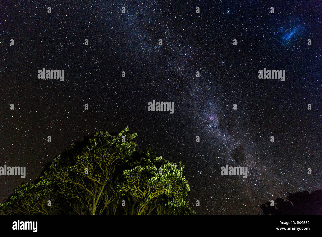 Southern Hemisphere Night Sky