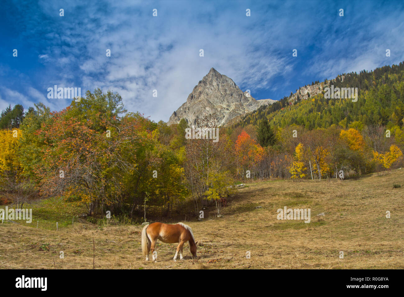 The Alps are the highest and most extensive mountain range system that ...