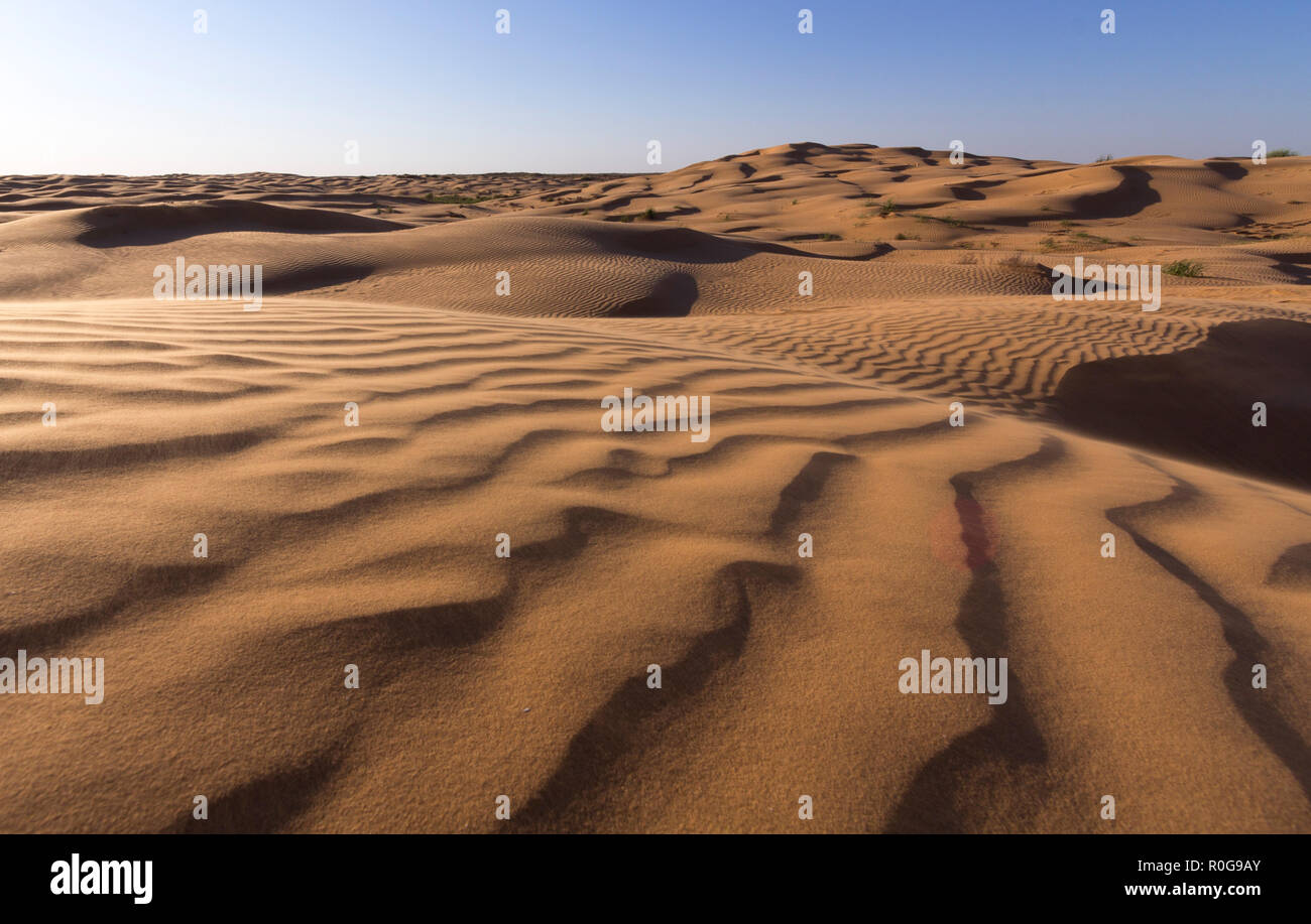 Sand dunes in the Russian desert, Russia, Astrakhan Stock Photo - Alamy
