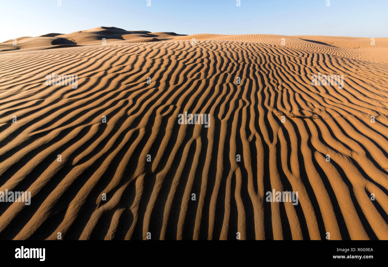 Sand dunes in the Russian desert, Russia, Astrakhan Stock Photo - Alamy
