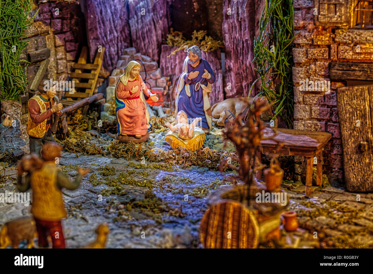 Forli sheep hi-res stock photography and images - Alamy