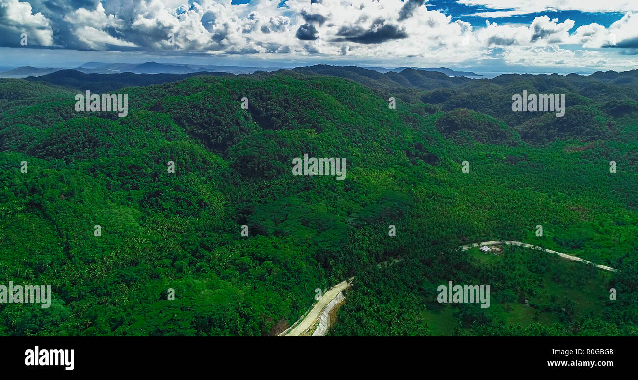 Aerial view of palms forest, road and mountain on the Siargao island ...