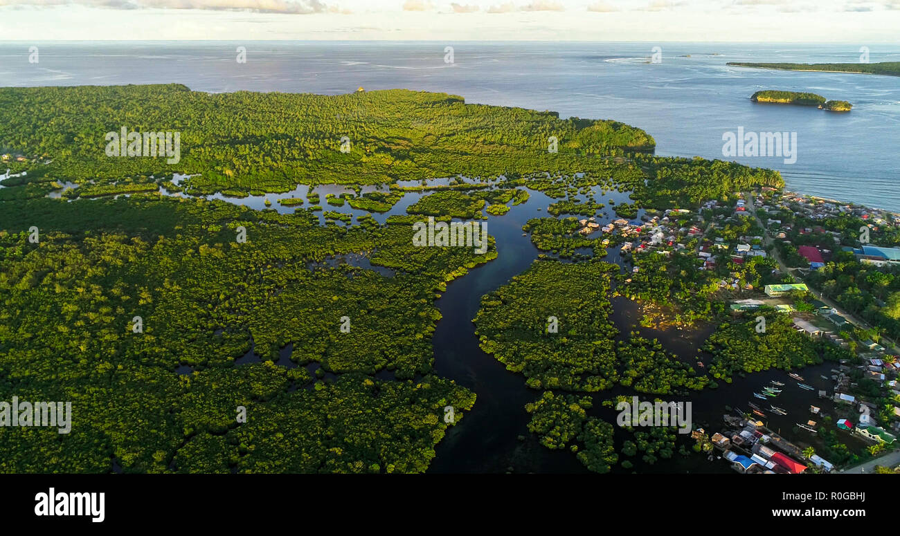 Aerial view of mangrove forest and river on the Siargao island ...