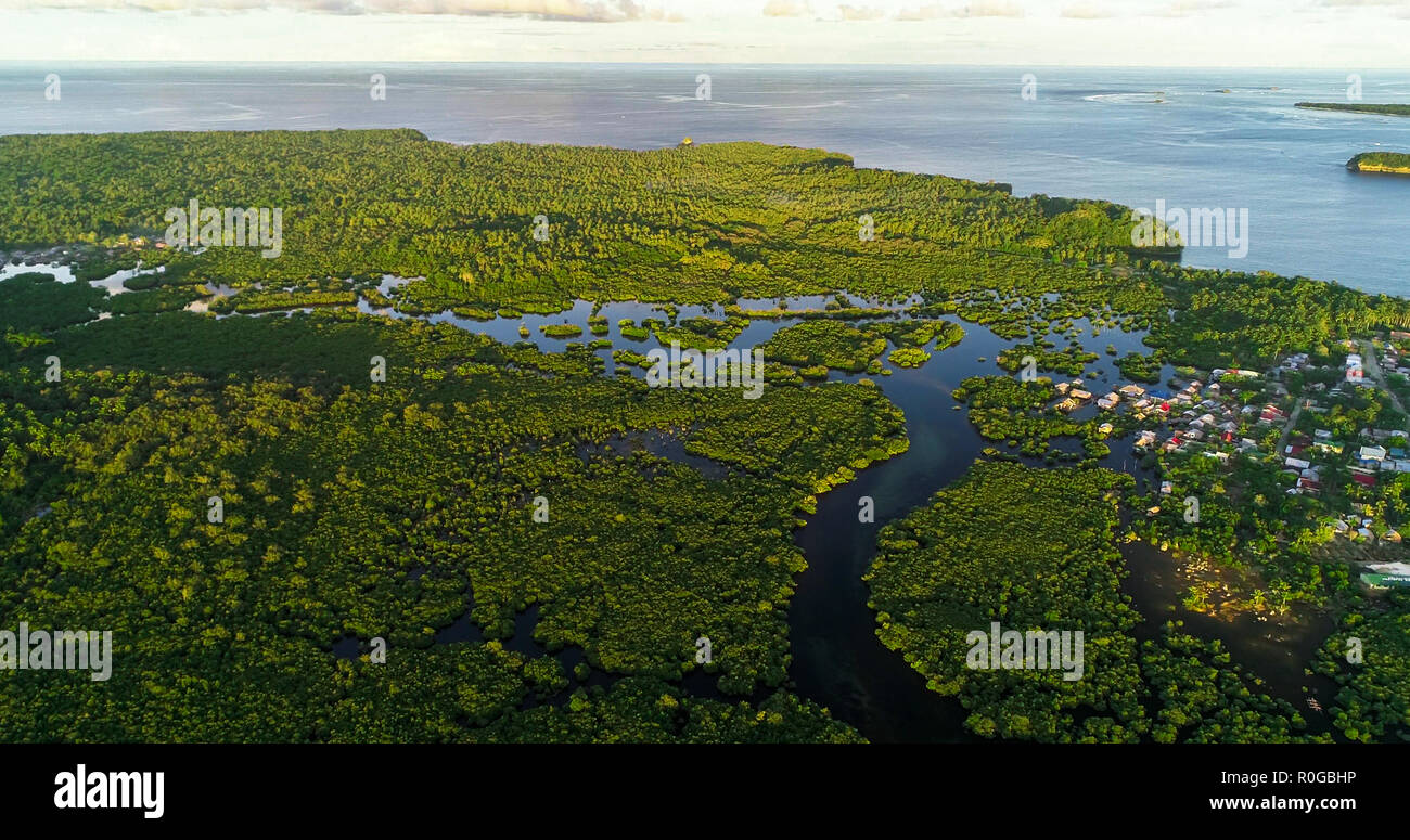 Aerial view of mangrove forest and river on the Siargao island ...