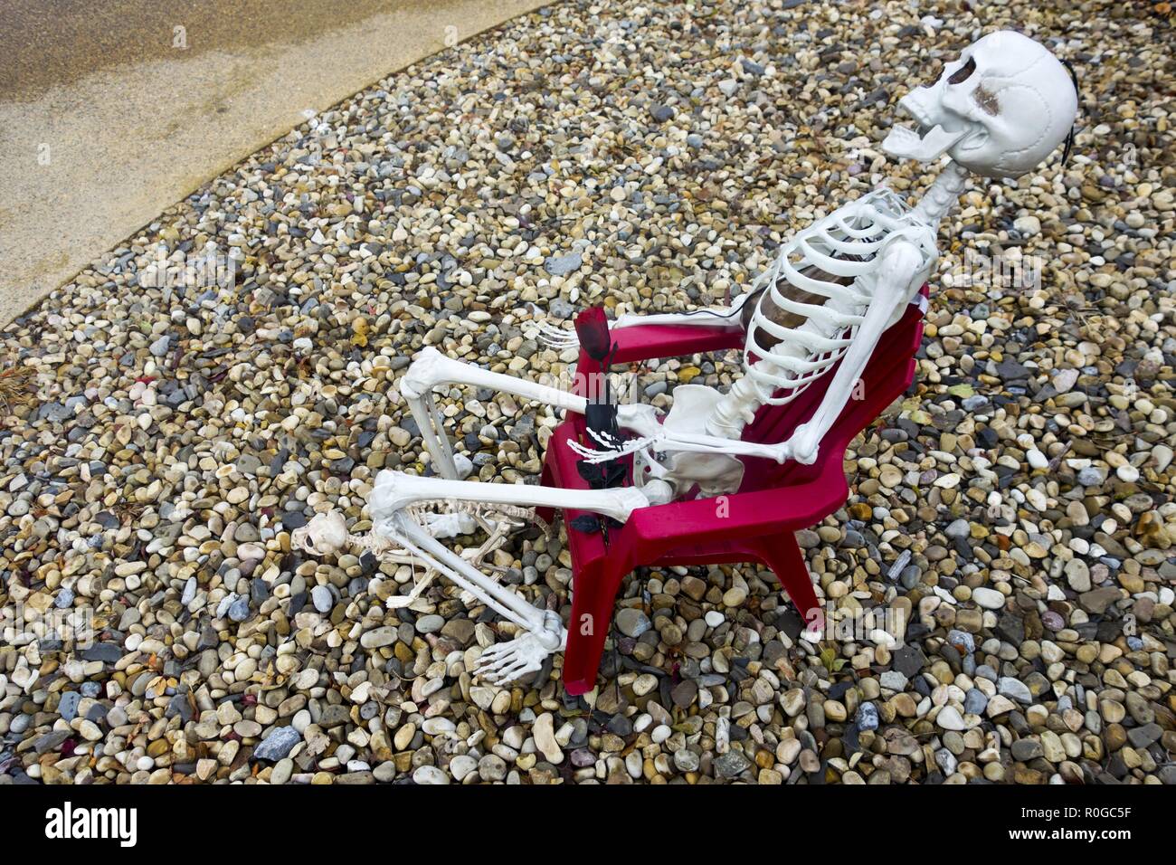 Skeleton chair hi-res stock photography and images - Alamy