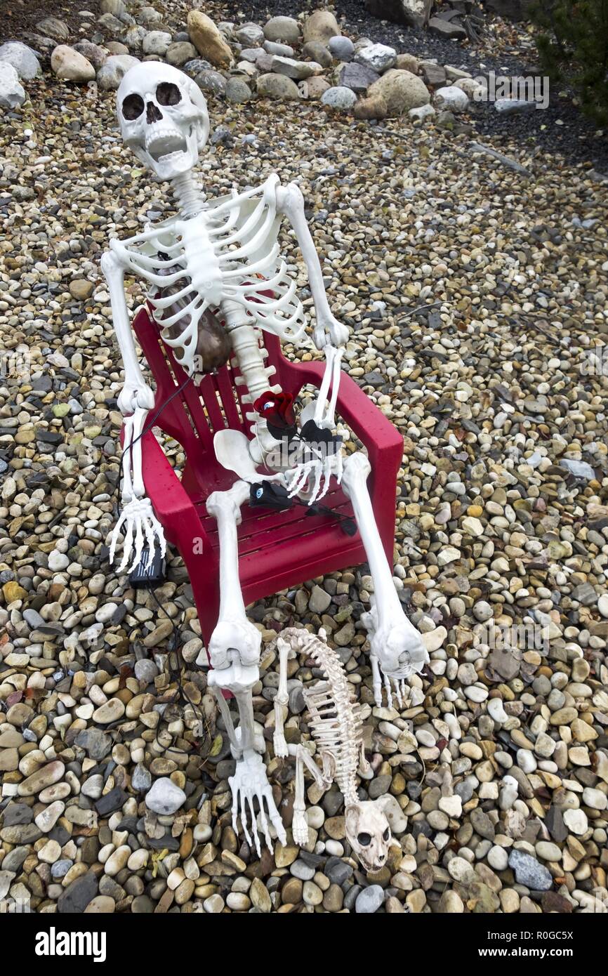 Skeleton sitting chair hi-res stock photography and images - Alamy