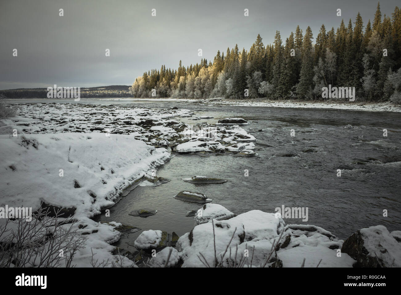 Winter scenery of river Tannforsen next to biggest Swedish waterfall ...