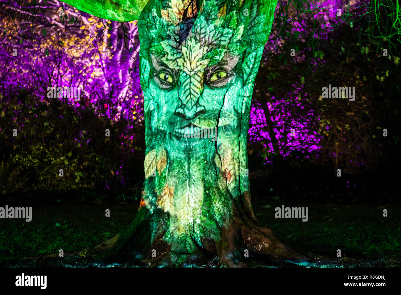 Talking tree hi-res stock photography and images - Alamy