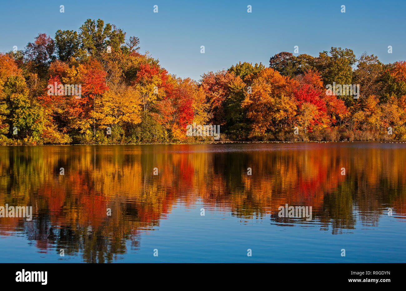 Mercer county new jersey hi-res stock photography and images - Alamy