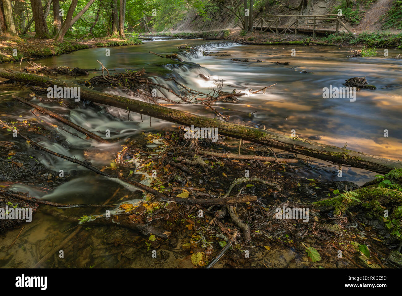 Roztoczanski national park hi-res stock photography and images - Alamy