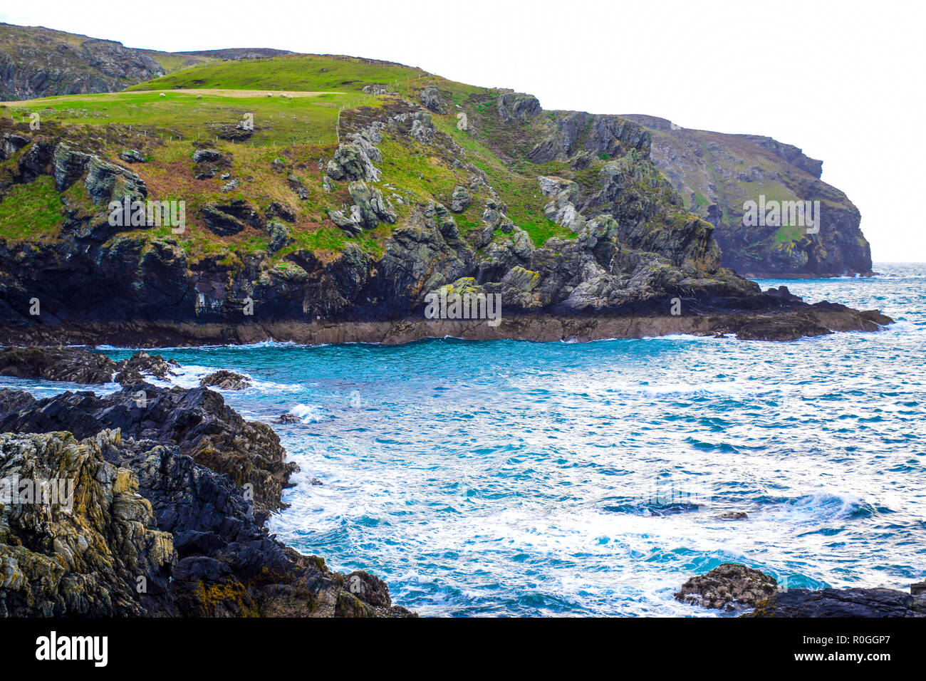 Calf of man island hi-res stock photography and images - Alamy