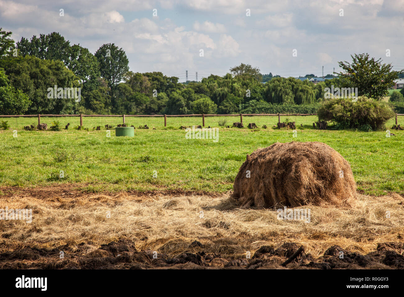 Irene farm in Pretoria, South Africa Stock Photo - Alamy