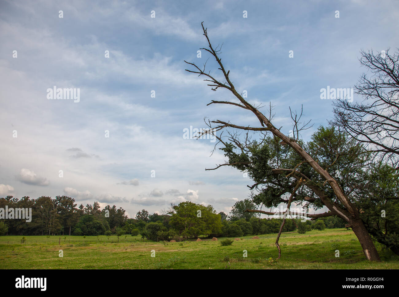 Irene farm in Pretoria, South Africa Stock Photo - Alamy