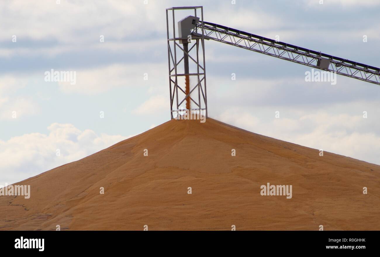 Mound of corn hi-res stock photography and images - Alamy