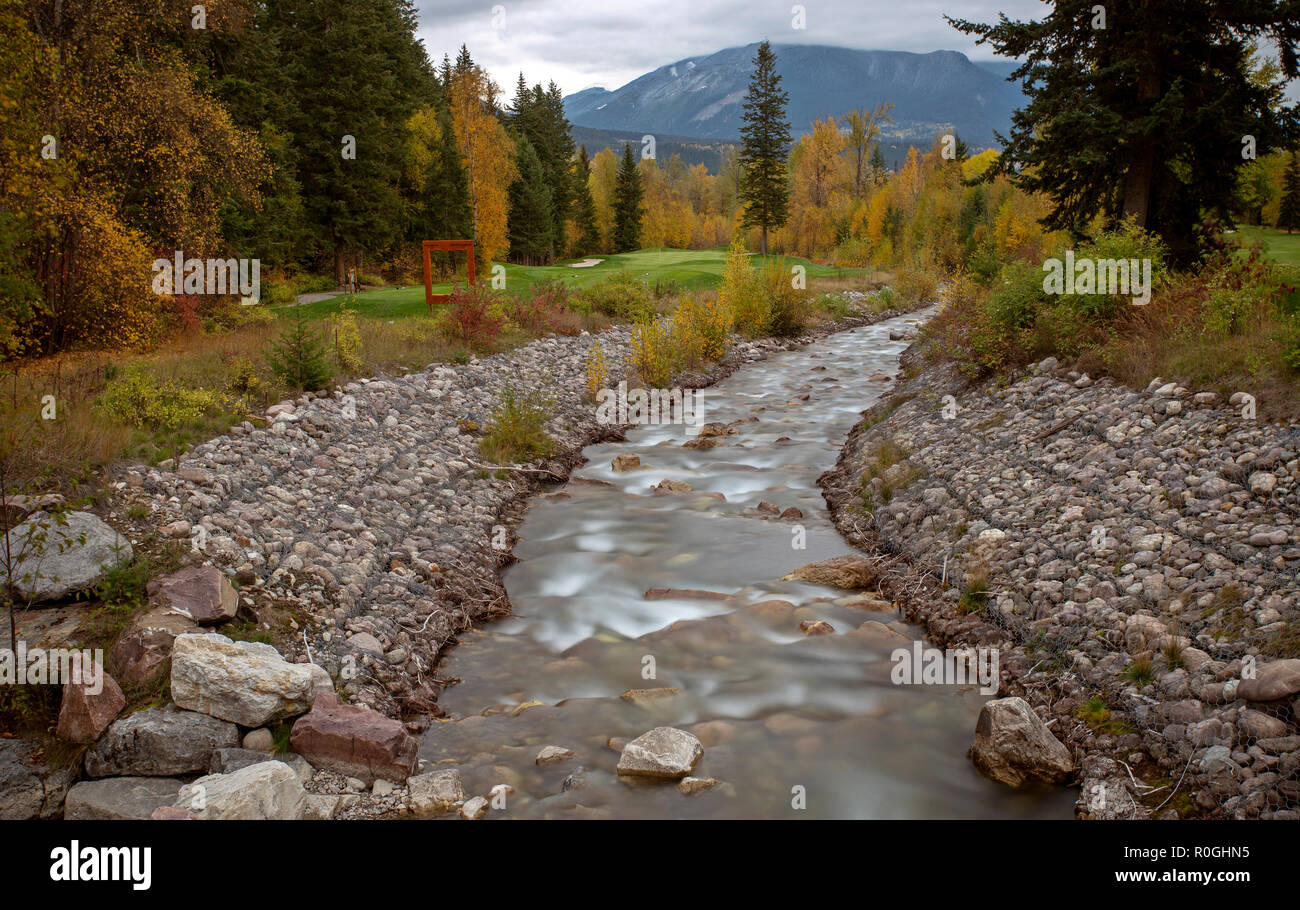 Golden British Columbia Kicking Horse Country stream Stock Photo - Alamy