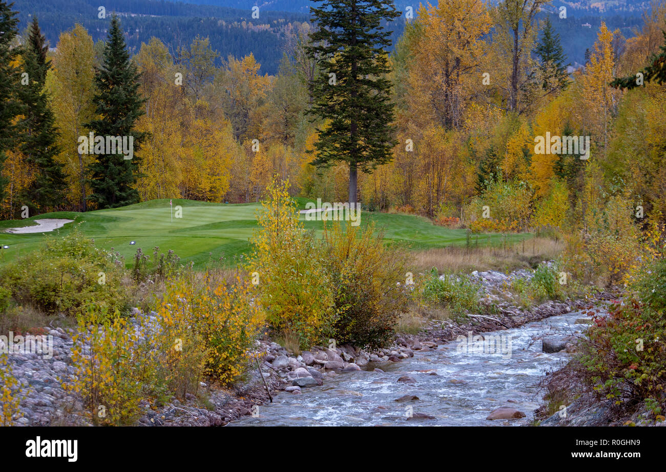 Golden British Columbia Kicking Horse Golf Course Stock Photo - Alamy