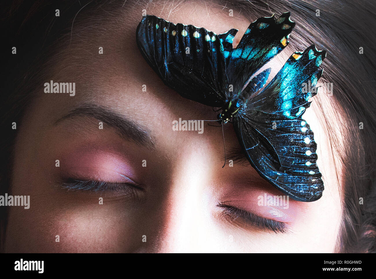 Butterfly Resting on Her Face Stock Photo - Alamy