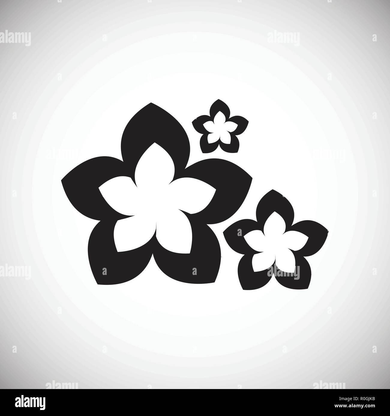 Bali flowers on white background Stock Vector Image & Art - Alamy