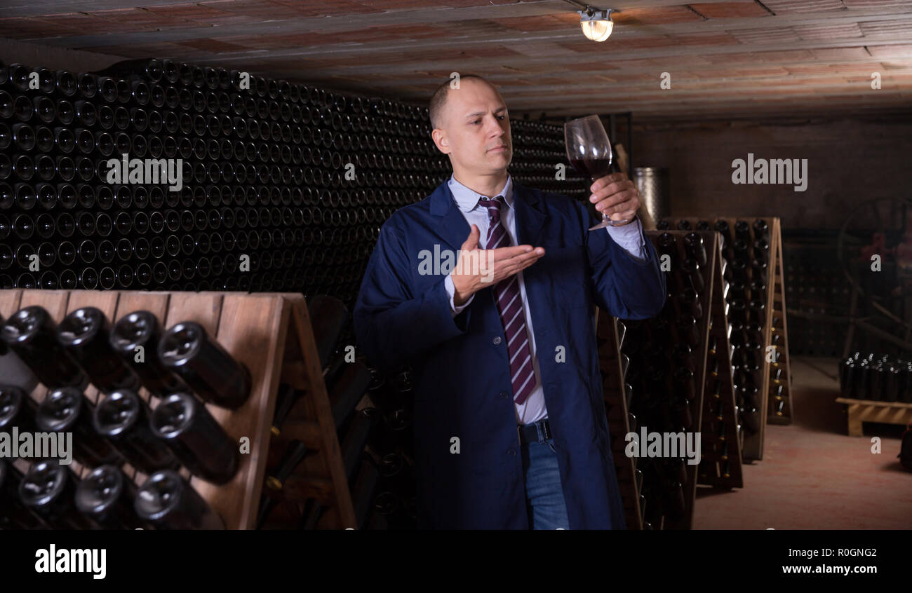 Professional sommelier tasting red wines in winery basement full of ...