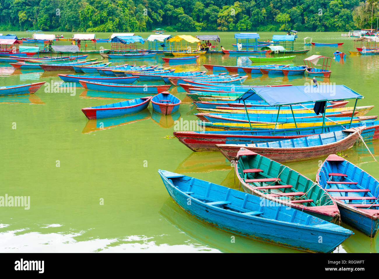 Pokhara, Nepal - July 31, 2018 : Colourful boats on Phewa lake in ...