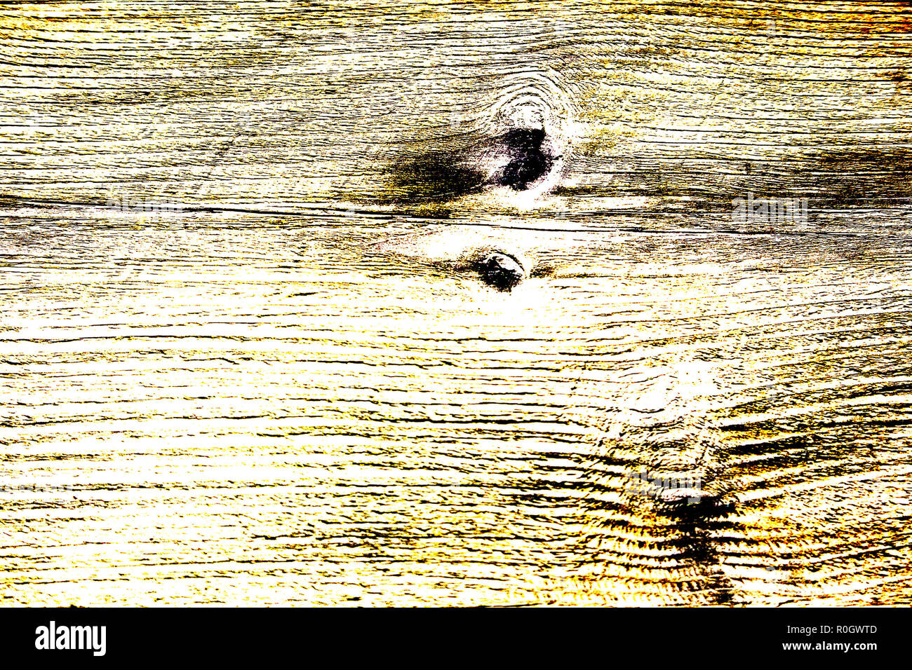 Colored high contrast wooden texture in yellow tones, lengthwise cut ...