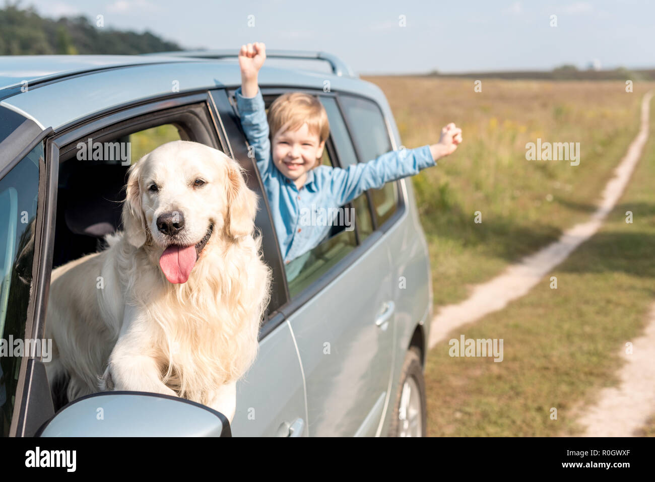 happy little kid riding car with his golden retriever dog in field ...