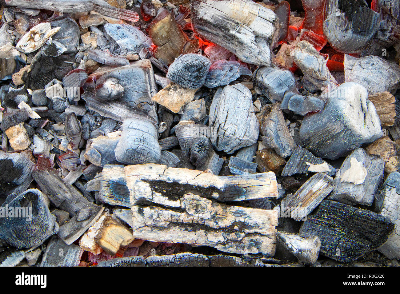 Ash wood texture hi-res stock photography and images - Alamy