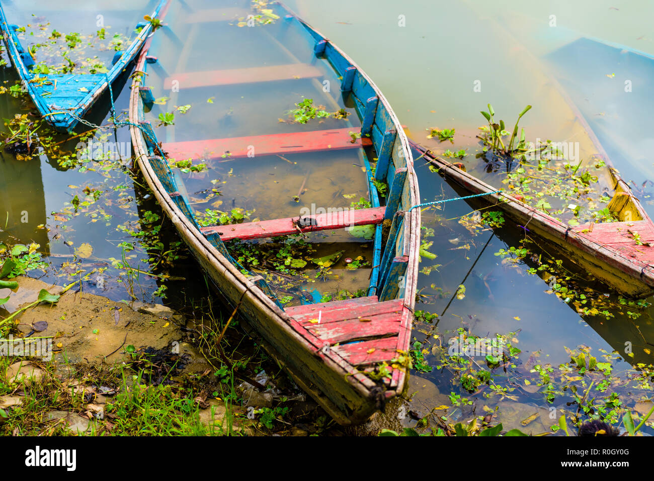 Detail of colourful boat on Phewa lake in Pokhara, the most popular and ...