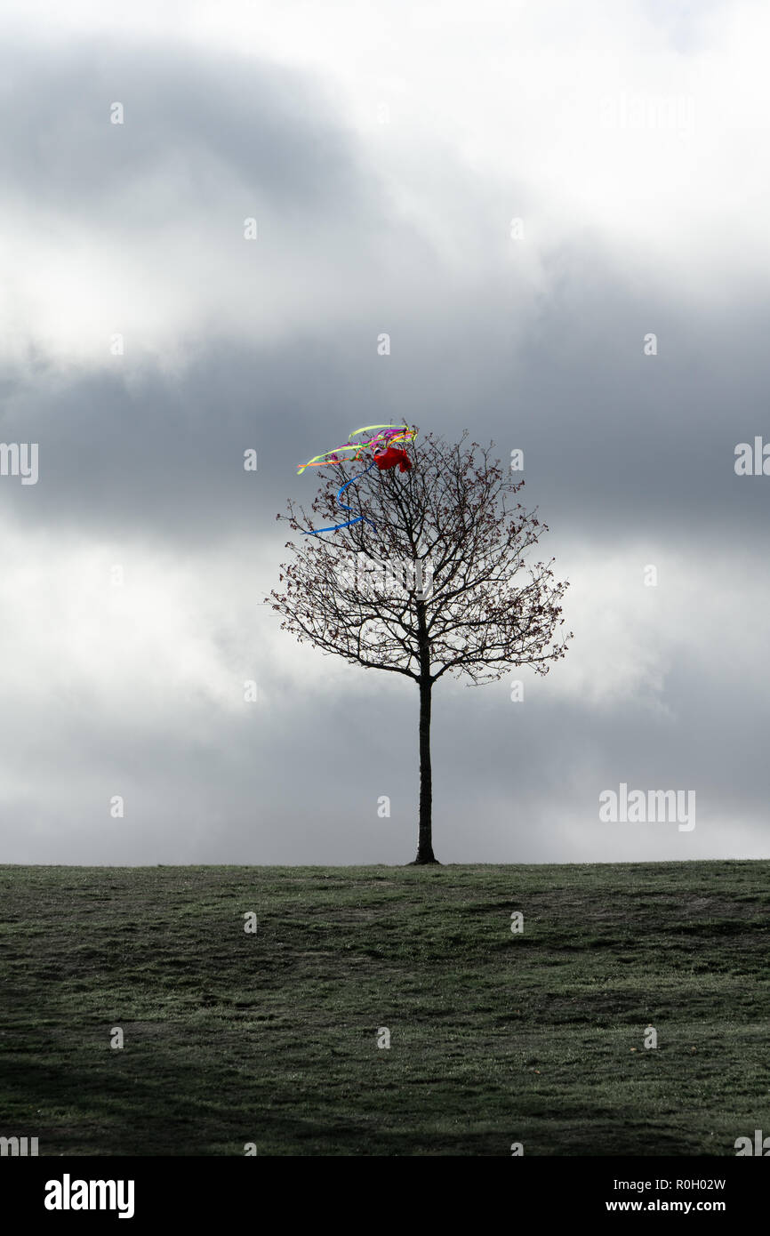 A colourful kite caught in a bare tree, atop a hill with gloomy ...