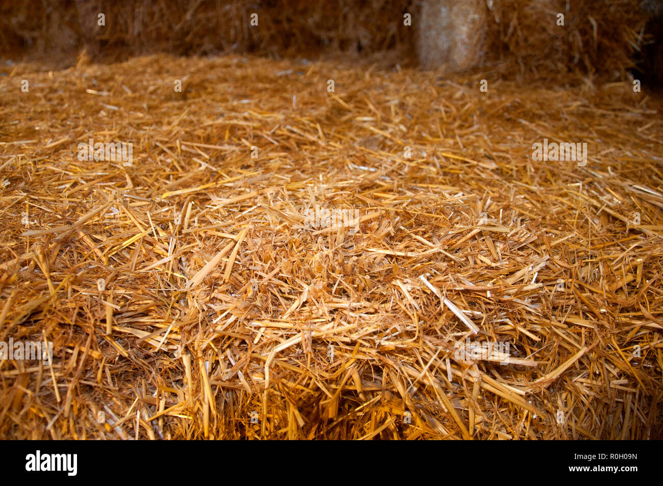 Big brick of yellow dry hay, macro Stock Photo - Alamy