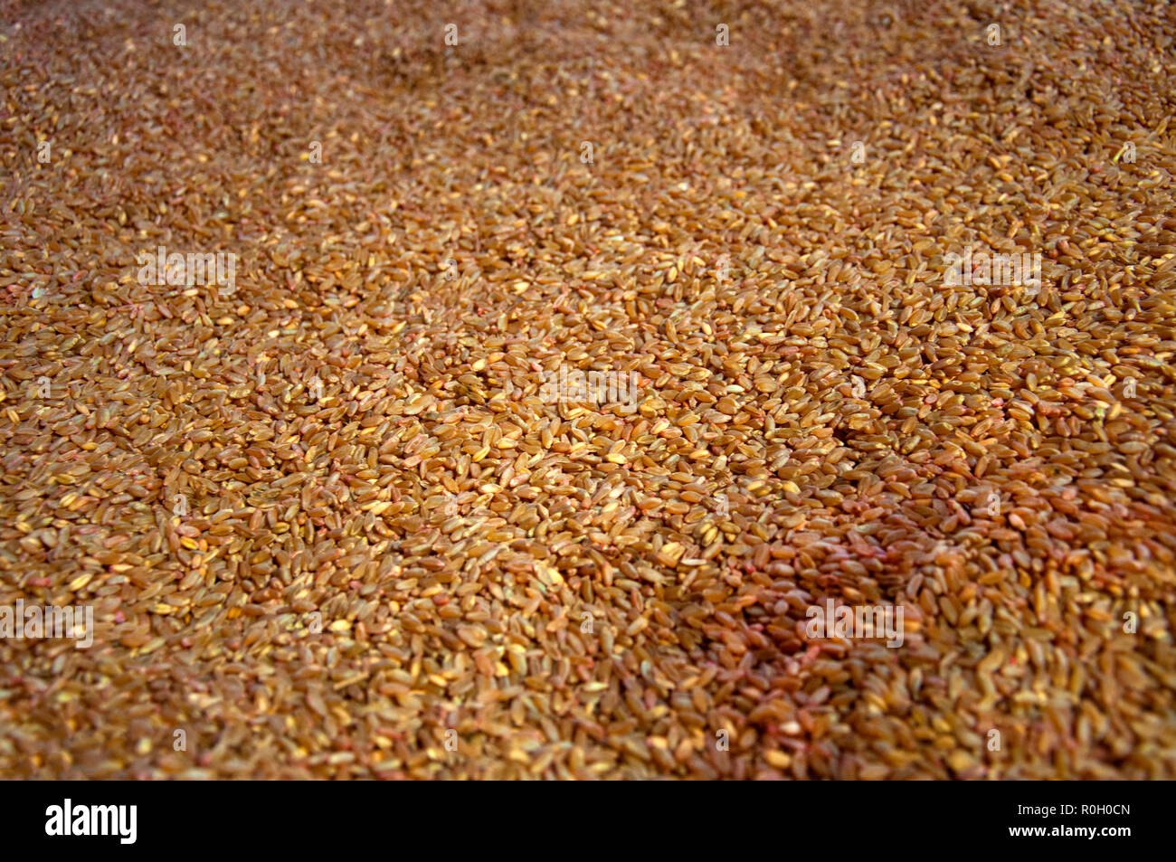 Big quantity hi-res stock photography and images - Alamy