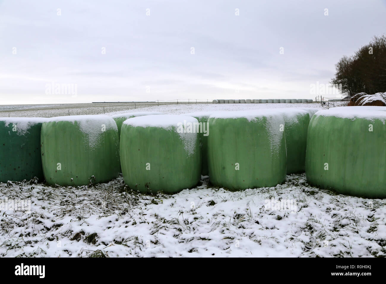 Winter Landscape. Rolls with fodder in winter Stock Photo - Alamy