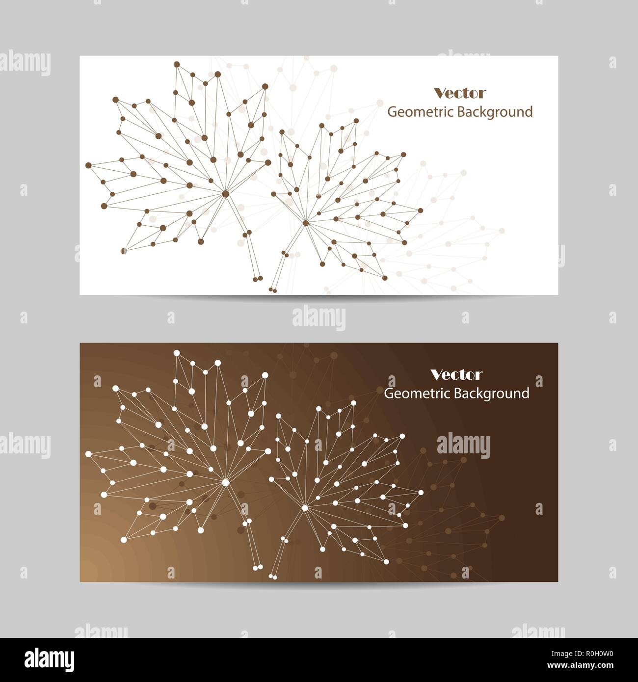 Maple 2019 structure of the atom - partnersjawer