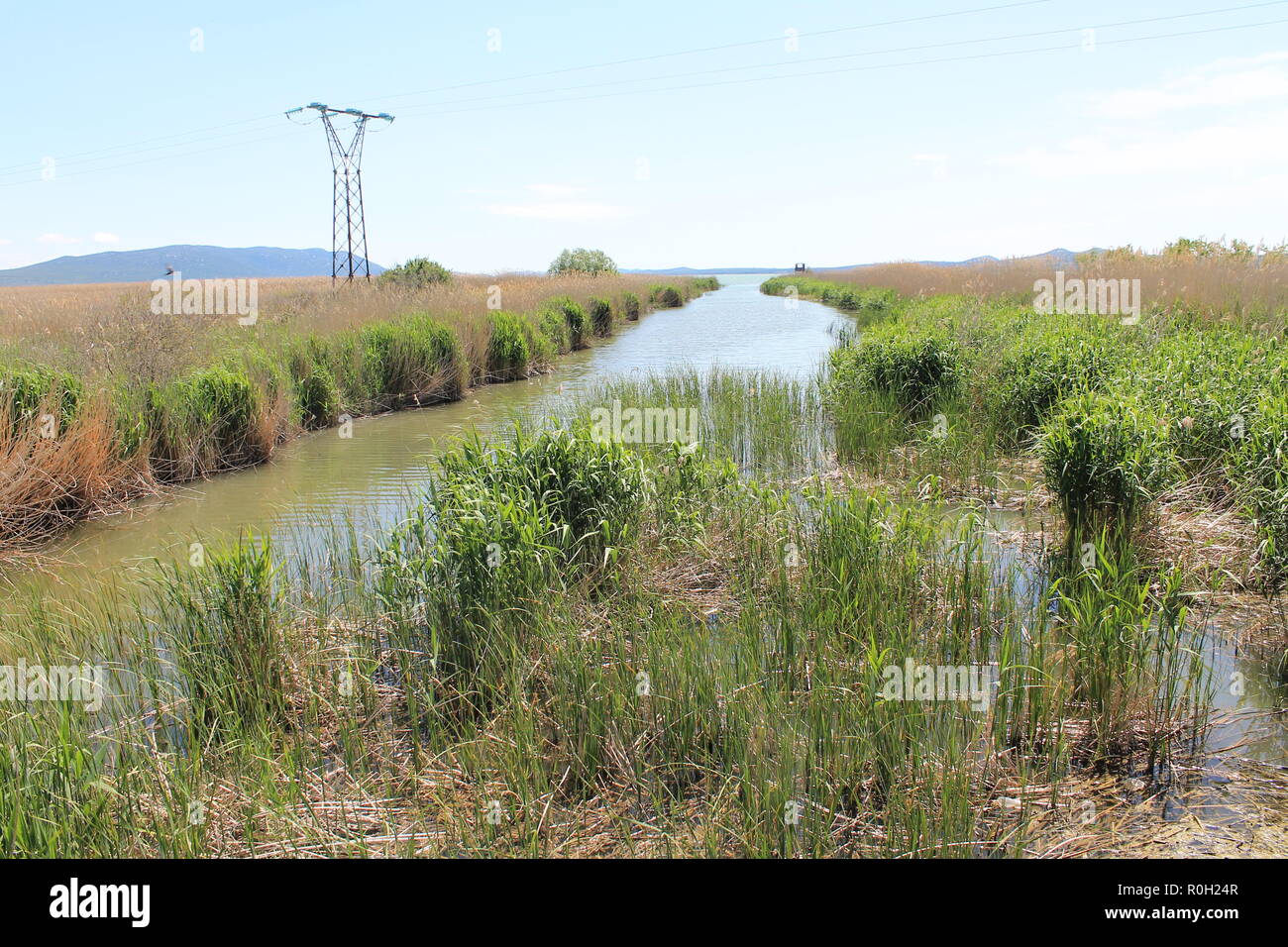 River and grass Stock Photo - Alamy