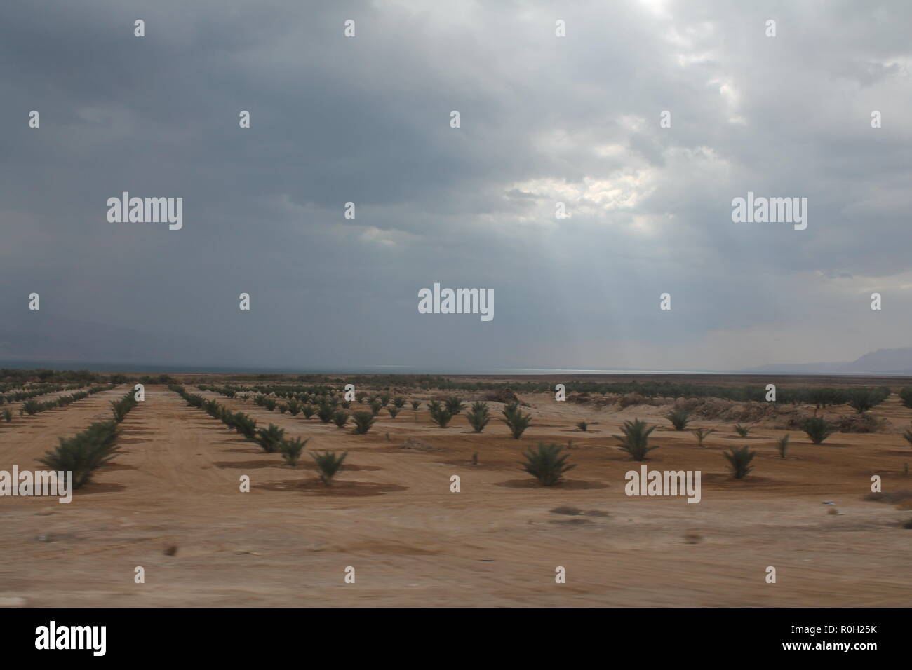 Isreal desert hi-res stock photography and images - Alamy