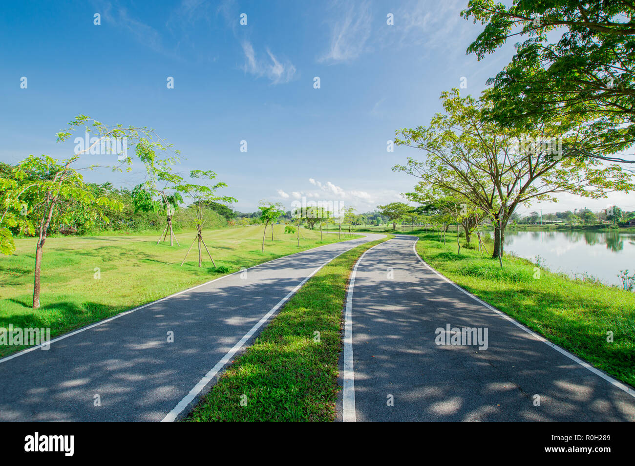 Asphalt road in countryside. Route in beautiful nature landscape with ...