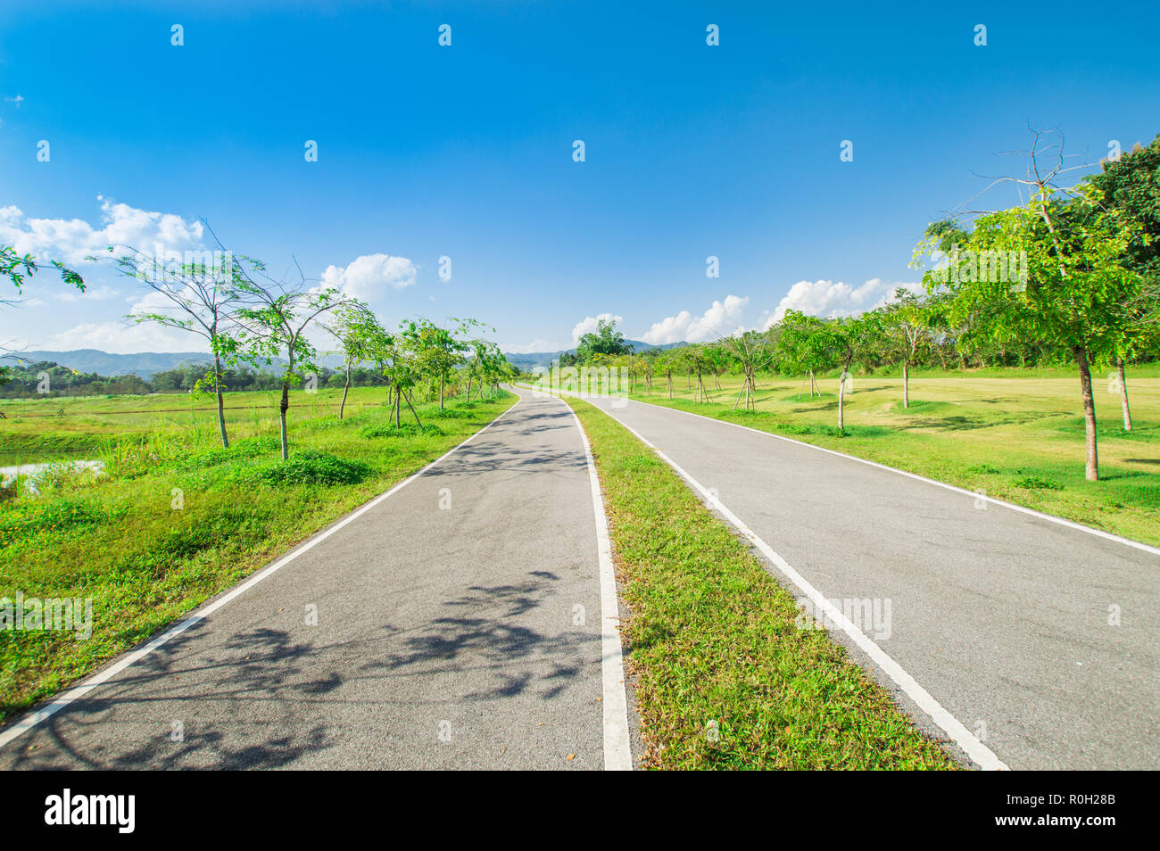 Asphalt road in countryside. Route in beautiful nature landscape with ...