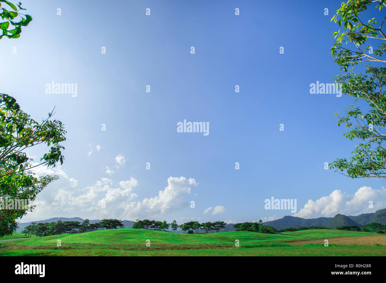 Panormic view hi-res stock photography and images - Alamy