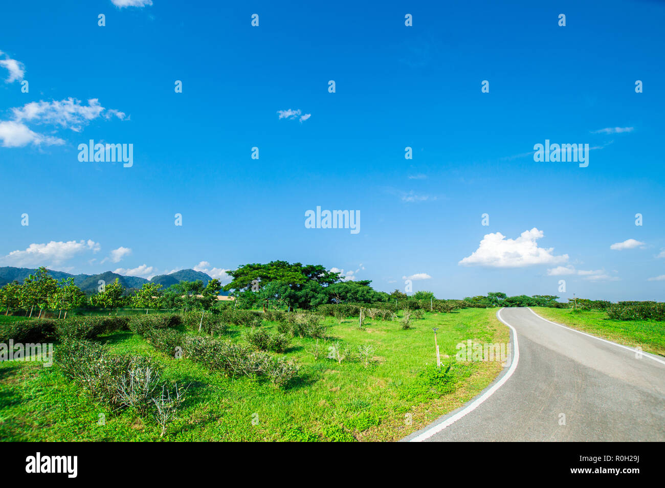 Asphalt road in countryside. Route in beautiful nature landscape with ...